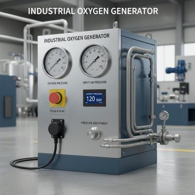 China Industrial Oxygen Generator 5-30 LPM 93% Purity Oil-Free Plug and Play with Siemens S7-1200 PLC for sale