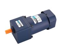 China Small Electric AC Gear Motor , 220v Motor With Gearbox Single Phase for sale