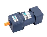 China Torque Gear Motor Single Phase AC Gear Motor 40w 104mm for sale