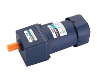 China Single Phase AC Gear Motor 220V 110V With Speed Control 40w 90mm for sale