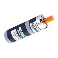 China Brushed 24V DC 3000rpm Planetary Gearbox Motor F52D60-24P-30S for sale