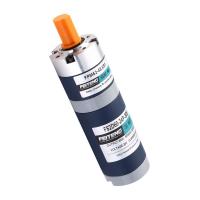 China Brushed 24V DC 3000rpm Planetary Gearbox Motor F52D60-24P-30S for sale