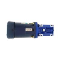 China Hollow Shaft 90 Degree Worm Reduction Gearbox Single Phase 2hp 60w 220v for sale