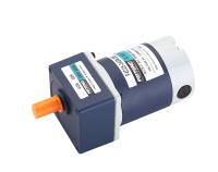 China Brushed Or Brushless 12v 24v DC Gear Motor 300rpm 30w for sale