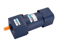 China 1ph AC 220V 25w Electromagnetic Brake Motor With Decimal Gearhead for sale