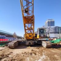 China XGC130 Affordable Hydraulic Crawler Crane For Various Applications for sale
