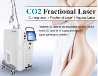 China Body Facial Co2 Fractional Laser Equipment , 10600nm Medical Beauty Equipment for sale