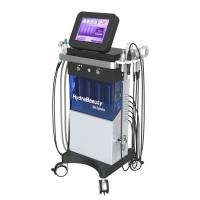 China H202 Beauty Hydro Microdermabrasion Machine Skin Care Aqua Peel Cleaning 8 In 1 for sale