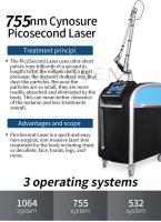 China Q Switched Nd Yag Picosecond Laser Tattoo Removal Machine Skin Whitening for sale
