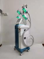 China Skin Tightening Cryolipolysis Slimming Machine RF Vacuum 360 Fat Freezing Device for sale