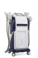 China Fat Removal Cryolipolysis Fat Freeze Slimming Machine EMS Cryo Body Sculpting for sale