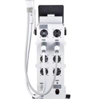 China 810 Pigment Removal Machine , Portable 2 In 1 IPL Beauty Laser Tattoo Removal Machine for sale