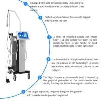 China Acne Treatment Fractional RF Machine , Skin Rejuvenation RF Microneedling Machine for sale