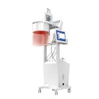 China 650nm Laser Hair Growth Machine Scalp Treatment Regrowth Salon Equipment for sale