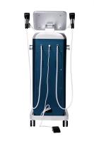China Wrinkle Remover Made Easy With Fractional RF Rejuvenation System 1-200w for sale
