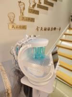 China Hydra Dermabrasion Beauty Machine 250VA Output With 90Kpa Vacuum Power CE Certified for sale