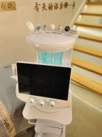 China Hydra Dermabrasion Beauty Machine 250VA Output With 90Kpa Vacuum Power CE Certified for sale