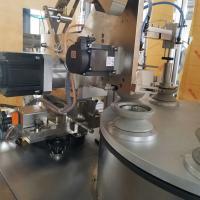 China Automatic Flap Disc Machine for Making Flap Discs at 800-1000 pcs/hour Speed for sale