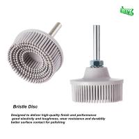 China Metal Coating Removal Disc 2 Inch Bristle Disc Grit 50 80 120 with 1/4