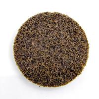 China 25mm 38mm 50mm 75mm Nylon Quick Change Surface Conditioning Disc with Customized Grit for sale