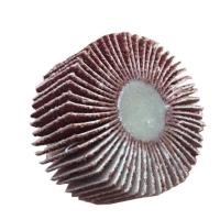 China Max Speed 20000RPM Shaft-Mounted Flap Wheel for Metal Pipe Polishing General Purpose for sale