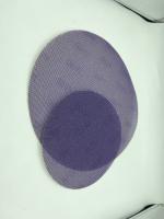 China Professional Purple Ceramic Mesh Sanding Disc for Metal Wood Steel Circular Sanders for sale