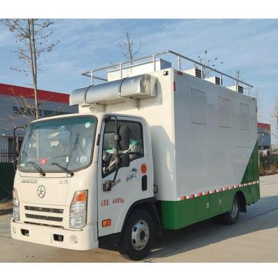 China Custom Concession Food Truck 4x4 Mobile Kitchen with 300L Water Tank for BBQ Ice Cream Hot Dog for sale