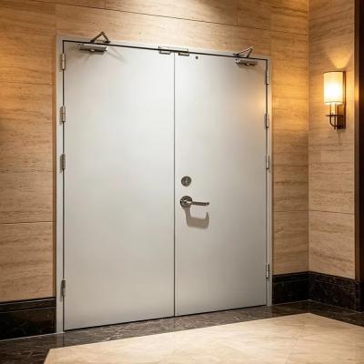 China Customized Size Well Sealed Fire Resistant Fire Rated Steel Door for Commercial and Residential Buildings for sale