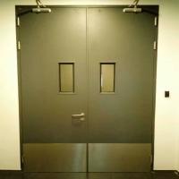 China Customized Size Well Sealed Fire Resistant Fire Rated Steel Door for Commercial and Residential Buildings for sale