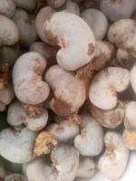 China Organic Roasted Cashew Nuts Rich Flavor Perfect Snack Ingredient Ideal Choice for Food Industry Applications for sale