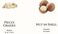 China Kosher Certified Nutritious Nut Mix Containing Almond Cashew Walnut Pistachio Designed for Specialty Food Suppliers for sale