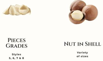 China Kosher Certified Nutritious Nut Mix Containing Almond Cashew Walnut Pistachio Designed for Specialty Food Suppliers for sale