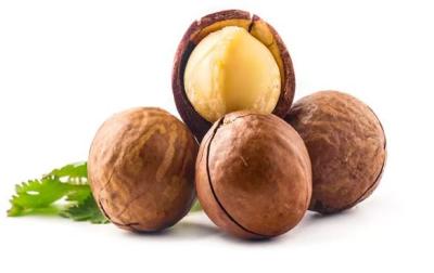 China Security Access Control Enforced Healthy Nuts Carefully Selected to Meet Nutritional Standards and Consumer Expectations for sale