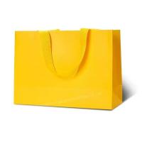 China 20cm x 15cm White Intaglio Printed Paper Carrier Bags with Zipper Top and Black Ribbon Handles for sale