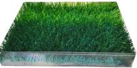 China Monofilament PE Artificial Grass 20-50mm Pile Height UV-Resistant Outdoor Turf for sale