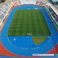 China 13mm Synthetic Sports Vinyl Flooring for Indoor Badminton Courts BWF Approved for sale