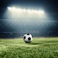 China Monofilament Artificial Plastic Grass Good Water Permeability Green for sale