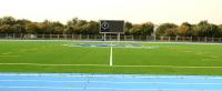 China PP PE Artificial Grass 8500 Dtex 25m Length Home Garden Balcony Decoration Fake Turf for sale