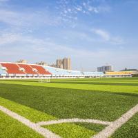 China 14000 Dtex Artificial Turf Grass Diamond Shape PE 20mm Anti Ultraviolet for sale