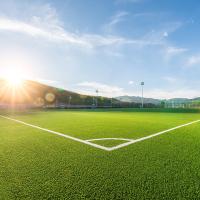 China Professional Synthetic Artificial Wall Grass Decorative Fake Grass Outdoors for sale
