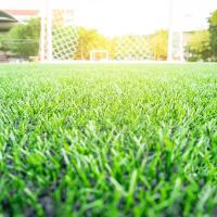 China 2*25m PP Natural Artificial Grass 12000 Dtex Multi Sports Turf for sale