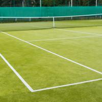 China 14000 Dtex Artificial Turf Grass Diamond Shape PE 20mm Anti Ultraviolet for sale