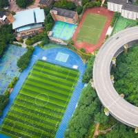 China Artificial Turf Grass Football Pitch 11000 Dtex 3/16 Gauge Carpet Roll for Sports Field for sale