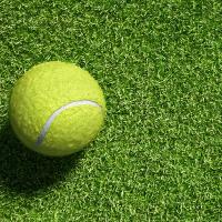 China Synthetic Artificial Turf Grass For Cricket Pitch 25mm Thickness Double Backing for sale