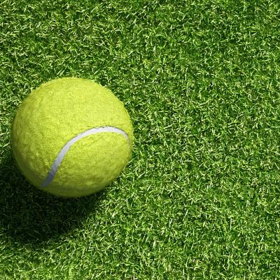 China Synthetic Artificial Turf Grass For Cricket Pitch 25mm Thickness Double Backing for sale
