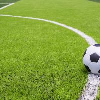 China Straight Green PP Artificial Turf Grass Sports Flooring Multipurpose for sale