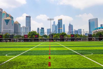 China High Density 45mm PE Artificial Grass Residential Lawns Bright Color for sale