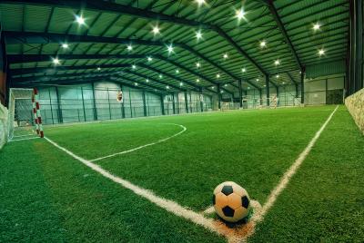 China Monofilament PE Artificial Grass 20-50mm Pile Height UV-Resistant Outdoor Turf for sale