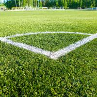 China Wear-Resistant 50mm Artificial Turf Grass Flame Retardant Landscaping Carpet Grass for Football Field for sale