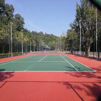 China 4mm Silicon PU Sport Flooring Fadeless Synthetic Tennis Court Surface for Outdoor Indoor for sale